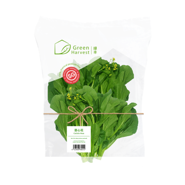 Chinese endives – Green Harvest