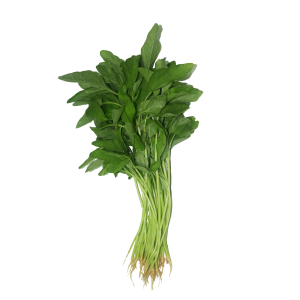 What We Produce – Green Harvest